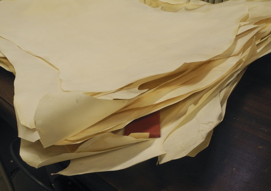 Parchemin animal ou végétal ? Comment choisir